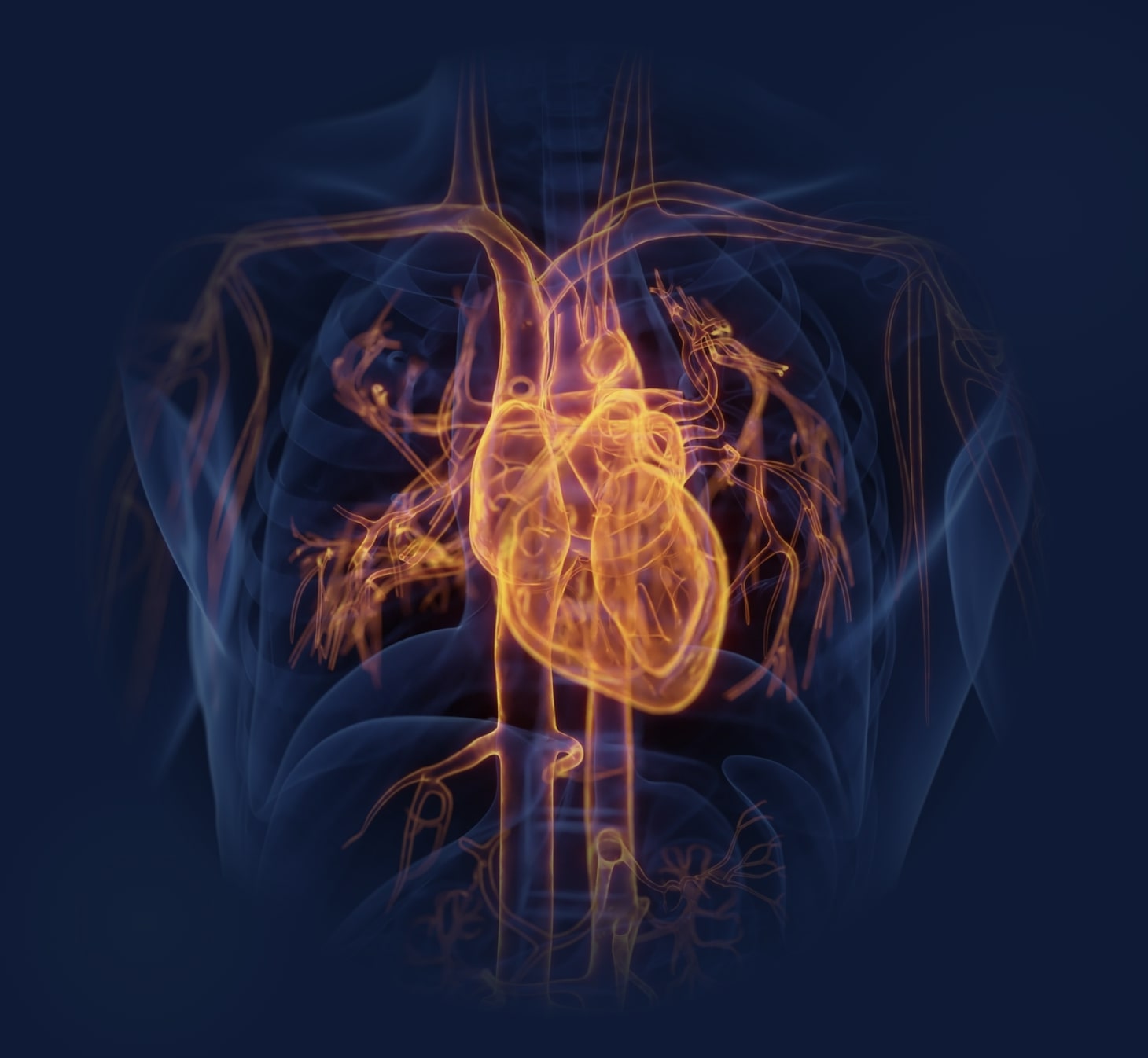 Ventrium Sciences | Amplify Your Healthcare Network